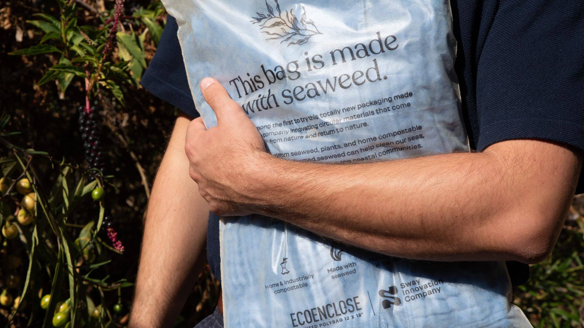 Seaweed Packaging Case Studies